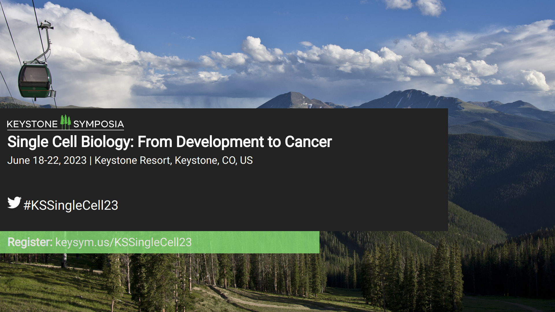 Single Cell Biology: From Development to Cancer | Keystone Symposia ...